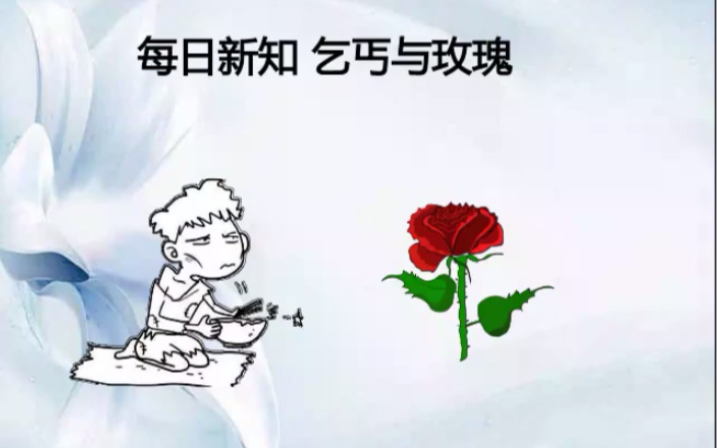 乞丐与玫瑰的故事,由此可知荣誉的重要性