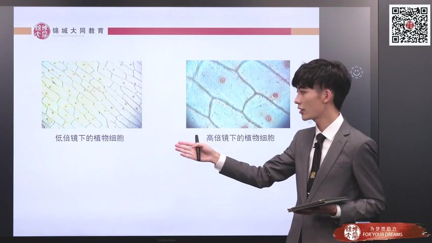 高中生物必修一 P2细胞的多样性和统一性
