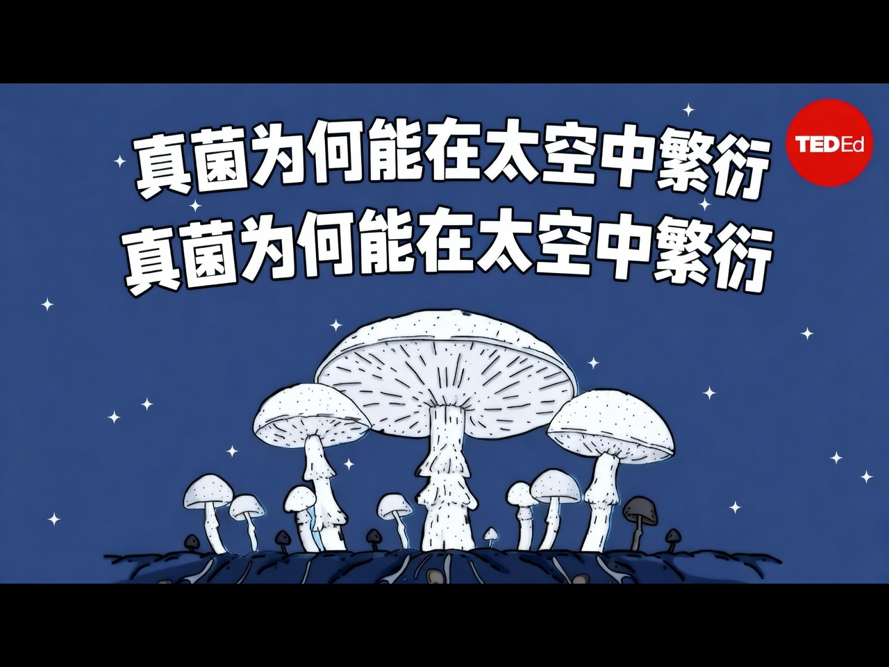 【中配】科学家为何将蘑菇送入太空?——香农·奥德尔 - TED-Ed