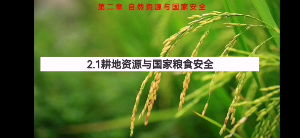 高中地理2.1耕地资源与国家粮食安全新课