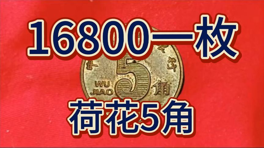 这种2005年的荷花5角硬币一枚价值16800看看你家里有吗