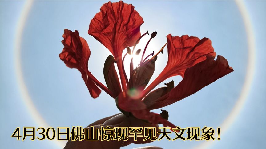 佛山惊现罕见天文现象!可能有人从未见过!究竟是什么天文现象?