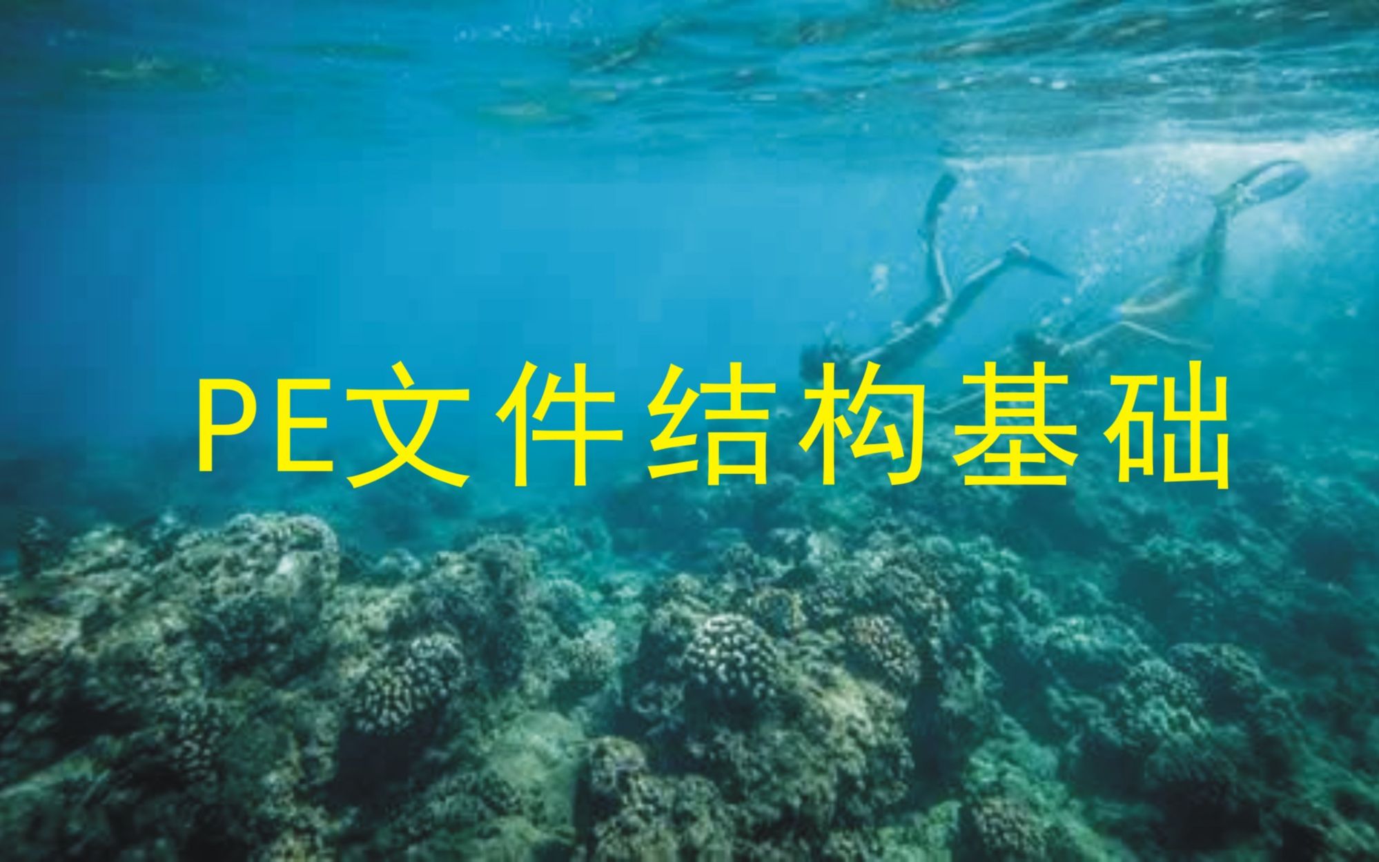 手把手教受PE文件