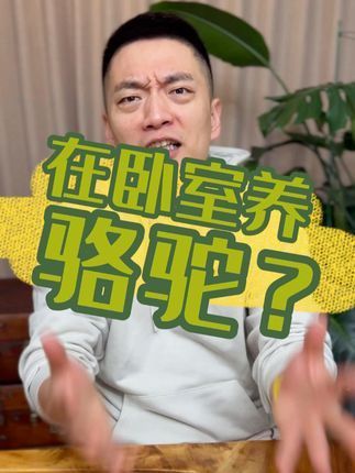 两个孩子一间房这么设计,颈椎不好可以照抄! #装修避坑 #独立设计师 #...