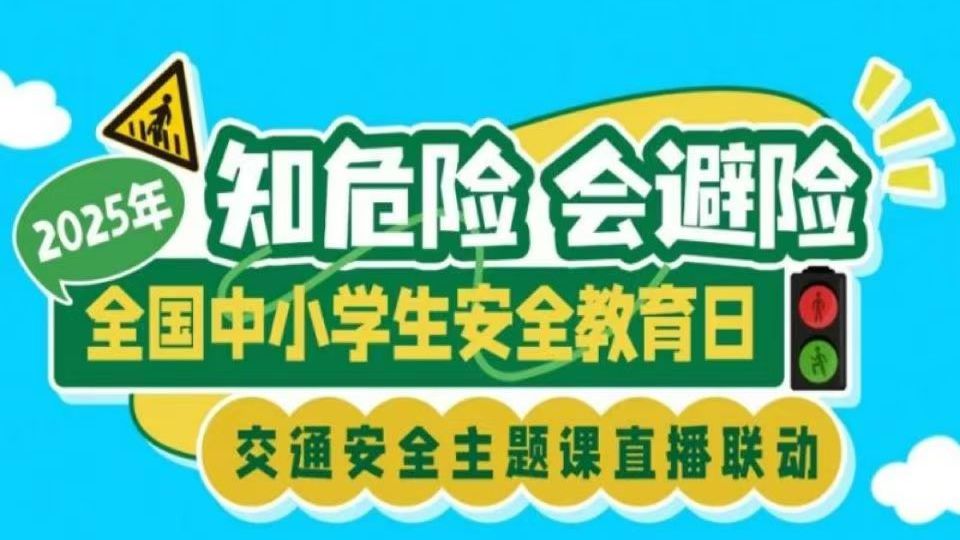 2025年“知危险会避险”全国中小学生安全教育日交通安全主题课...