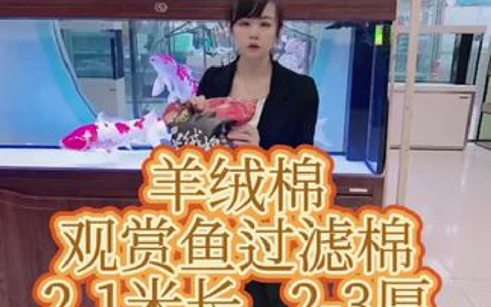 玻璃鱼缸养鱼,池子养鱼,新手养鱼鱼缸过滤棉