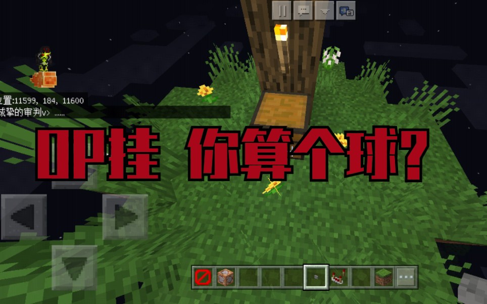 [教程] op挂也不过如此。 教程来了 最新最简单我的世界租赁服如何防...