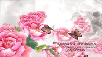 CP410-水墨丹画 水墨牡丹蝴蝶 中国风水墨视频素材 LED大屏