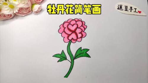 画爱心和写3画简单的牡丹花简笔画