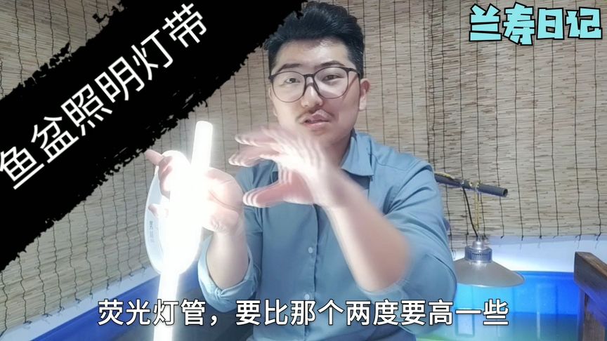 鱼缸上能不能用LED灯带来培养绿水青苔?买两米灯带试试就知道了