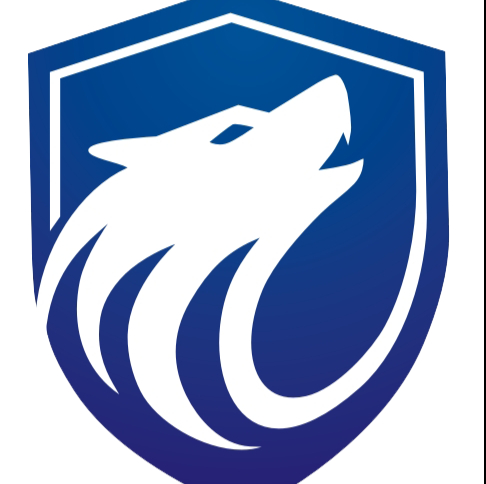 WOLFLAB网络技术实验室 