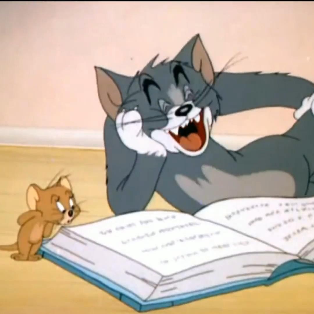 小猫咪喵喵喵369 