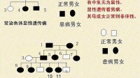 (汉水丑生一轮复习)伴性遗传_标清