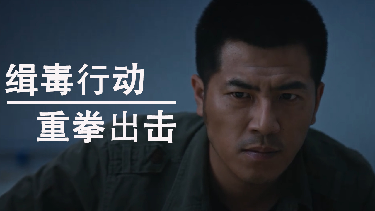 缉毒行动,重拳出击,致敬每一个缉毒民警