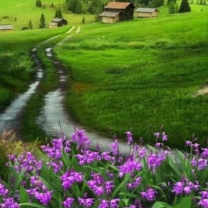 平姐带你看福州 