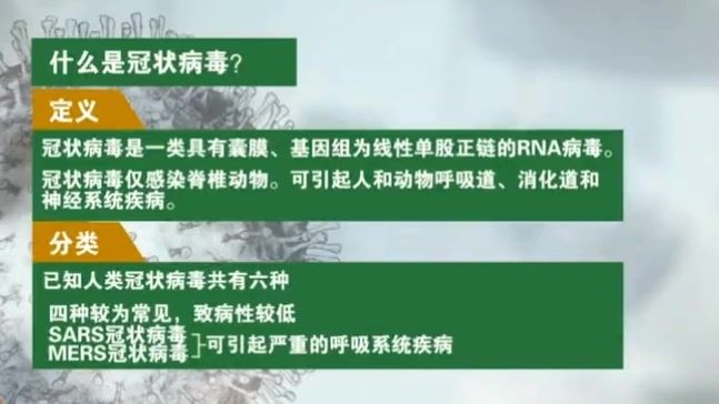 冠状病毒定义和分类