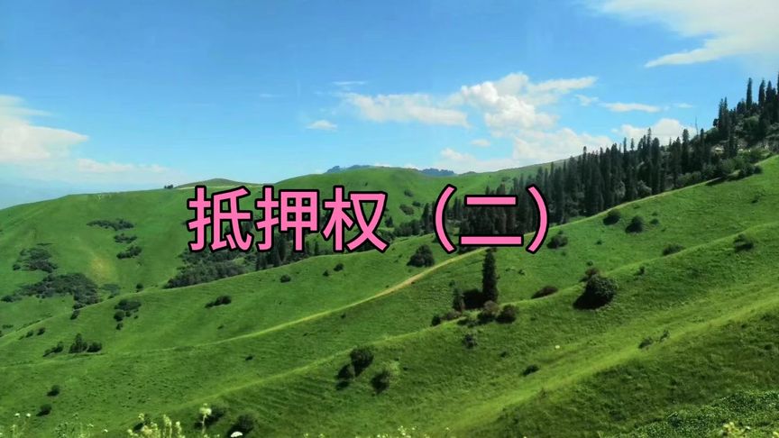 抵押权设立、流押条款、抵押登记及无对抗力、抵押物的转让与价值