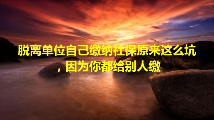 脱离单位自己缴纳社保原来这么坑,因为你都给别人缴