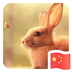 bili_437360111 