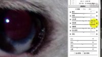 PhotoshopCameraRaw基础及进阶教程-第二课