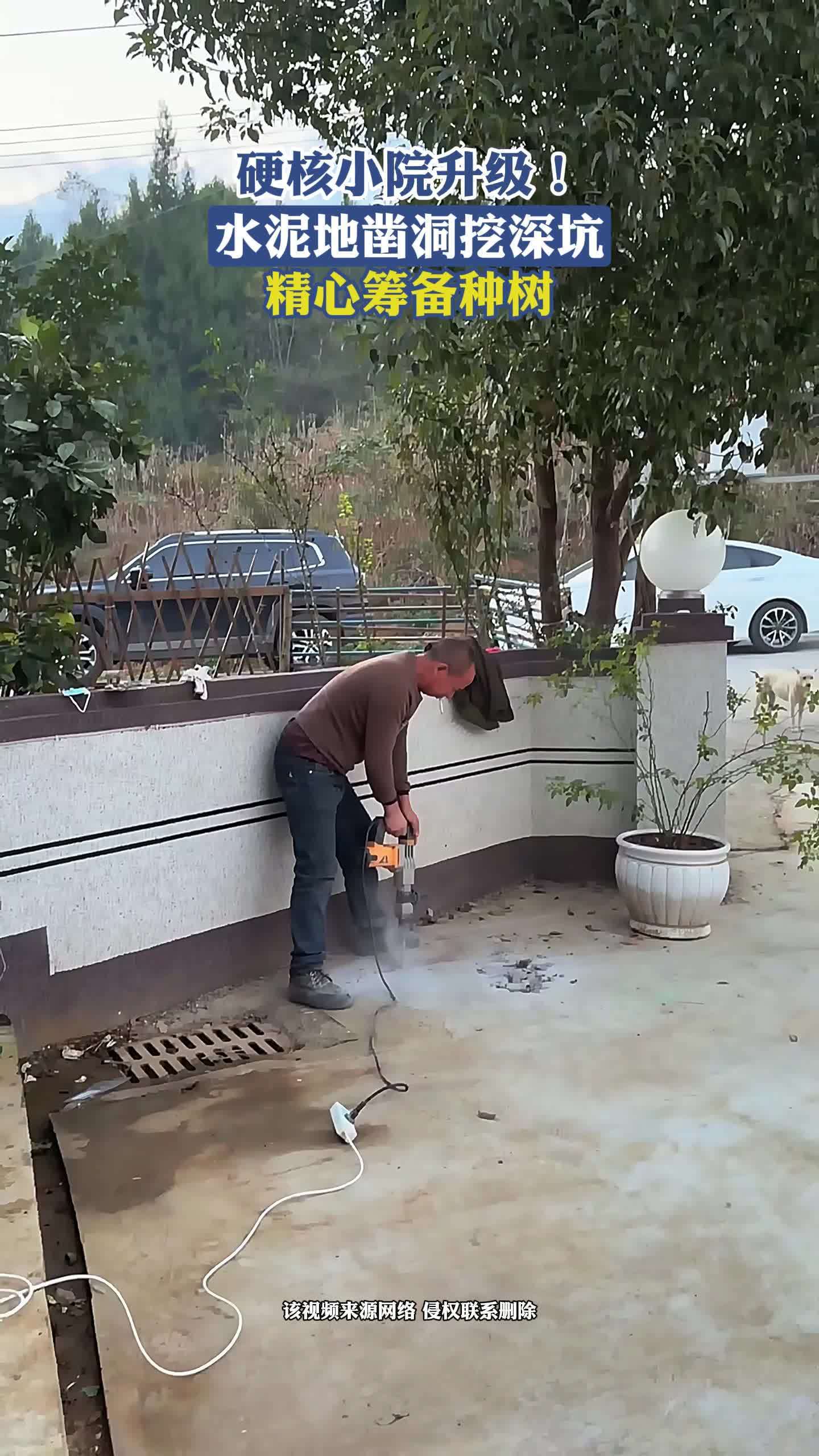 硬核小院升级!水泥地凿洞挖深坑,精心筹备种树