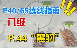 P40/65练线指南之八级(P.44 “黑豹”)_坦克世界