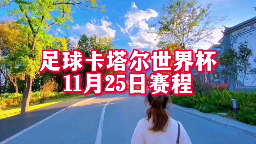 足球卡塔尔世界杯11月25日赛程,葡萄牙对阵加纳,C罗迎来首秀!