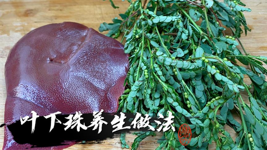 才知道,猪肝加叶下珠,作用这么厉害,不懂的人把它当野草