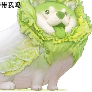 小狗卷白菜 