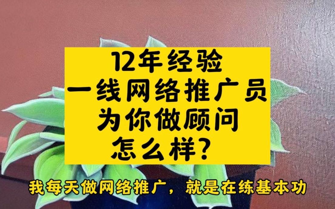 12年经验一线网络营销推广专家为你做顾问,怎么样?