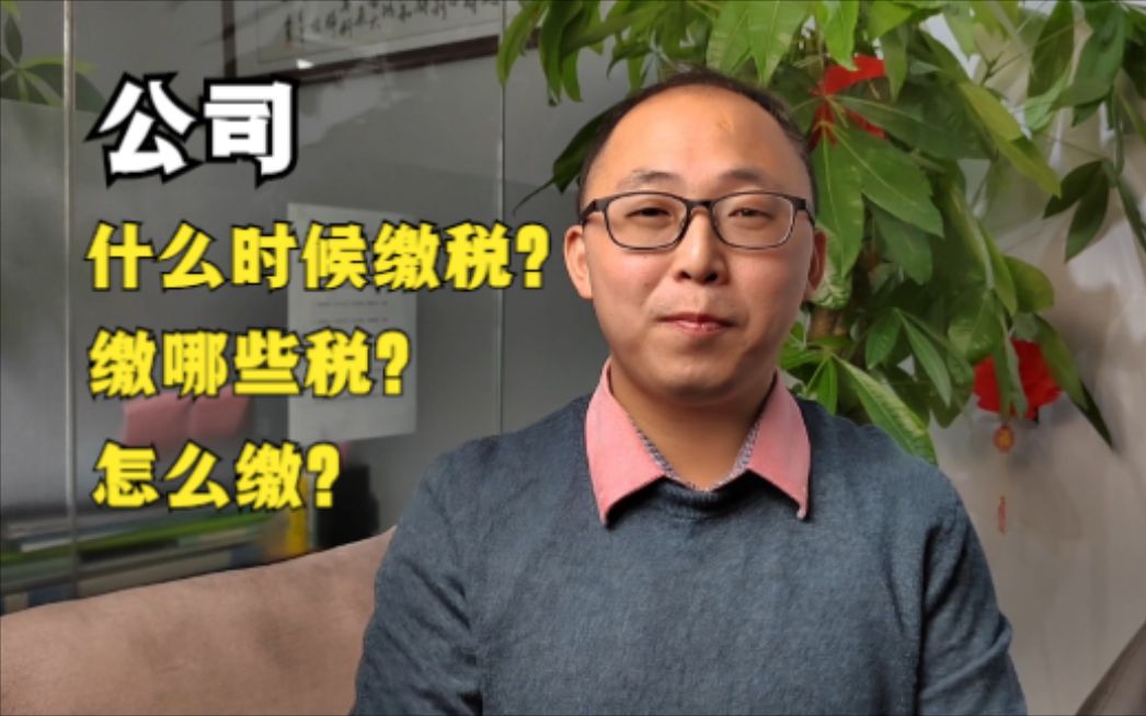 公司什么时候缴税?缴哪些税?怎么缴?