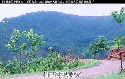 不怕大家一起穷就怕别人比你富,看着别人的果苗好就使坏