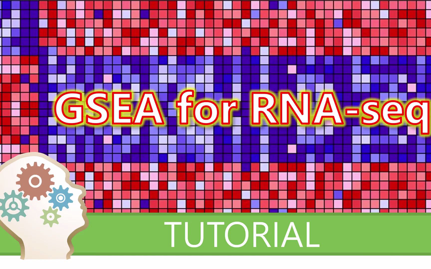 对于RNAseq基因集数据如何执行Gsea分析