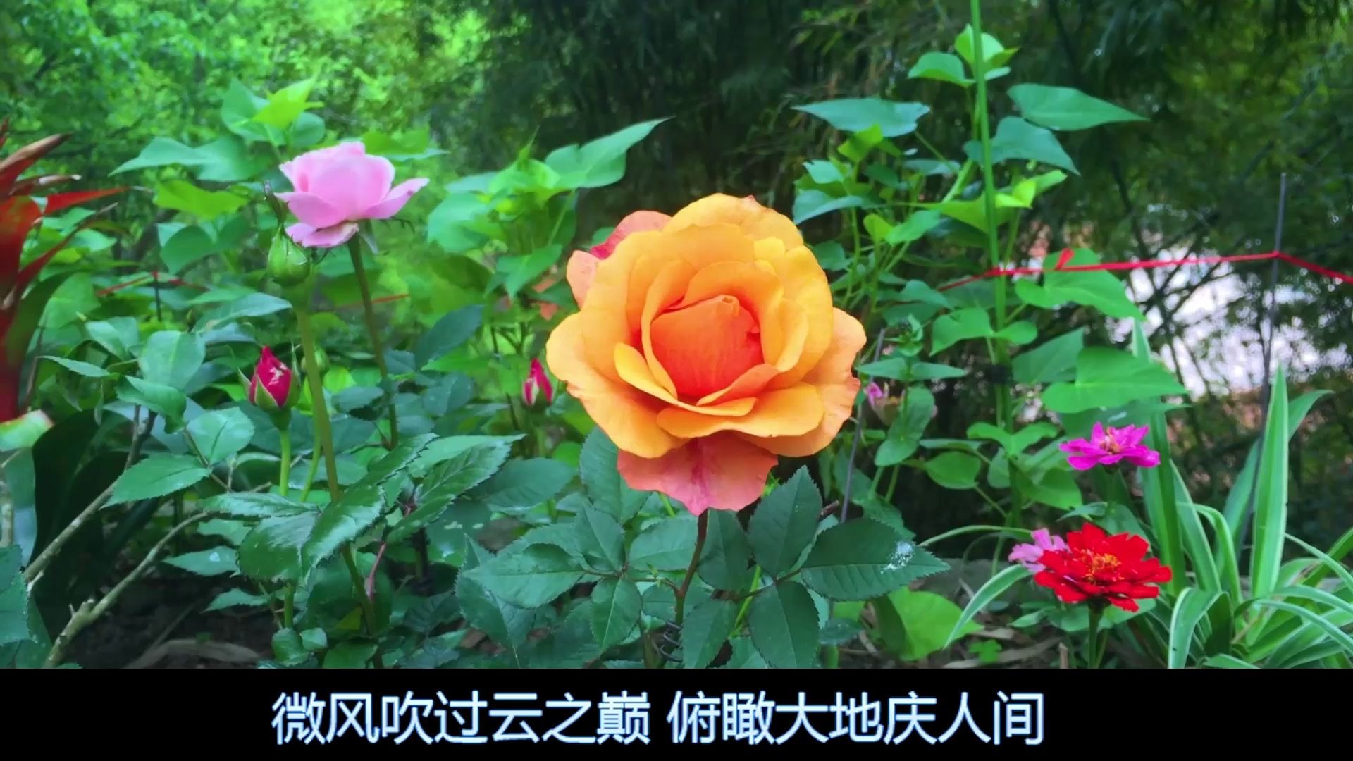 佛教歌曲《文殊菩萨心咒》让你智慧充满,专心听诵。