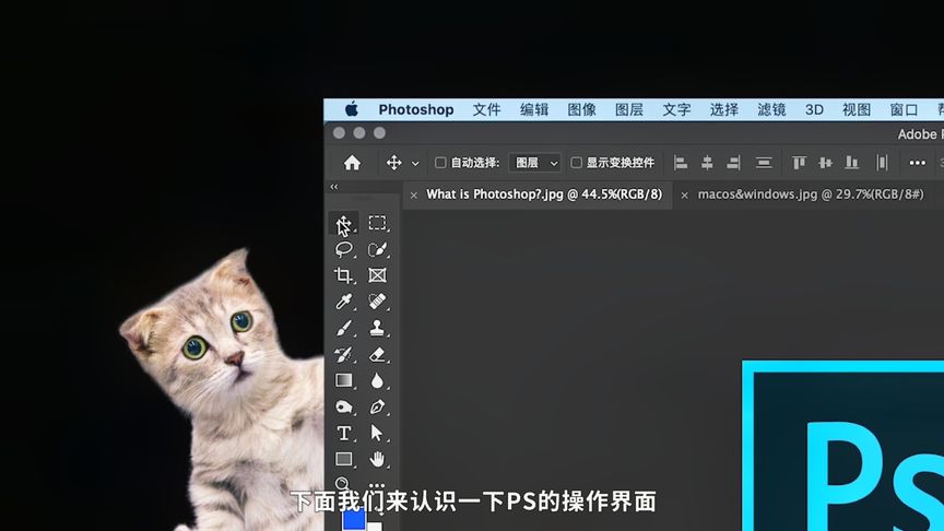 【1分钟了解】快速熟悉PS操作界面-Photoshop新手基础教程入门
