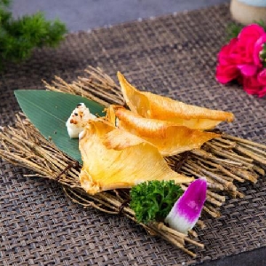 天行小歌 