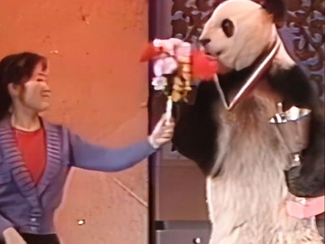 原来老一辈熊猫早就登上过春晚了!