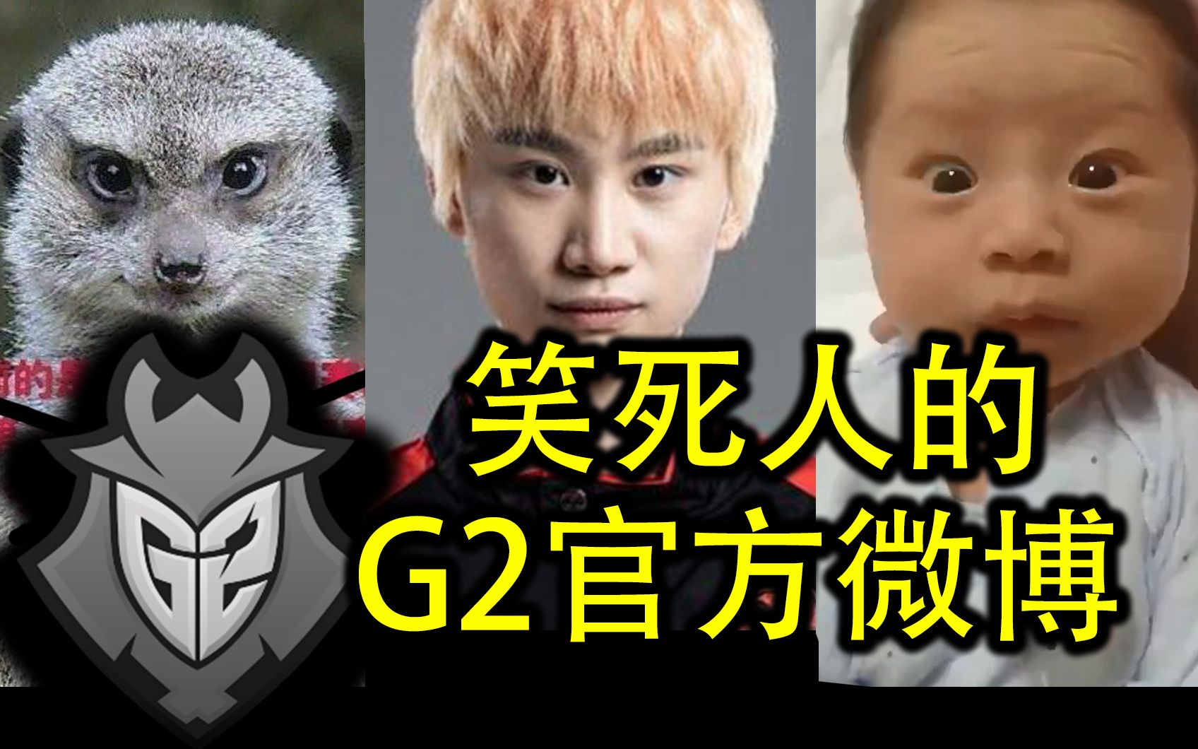 G2官方推特 全消息实录+中文翻译