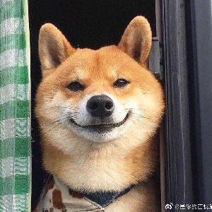 程伯虎 