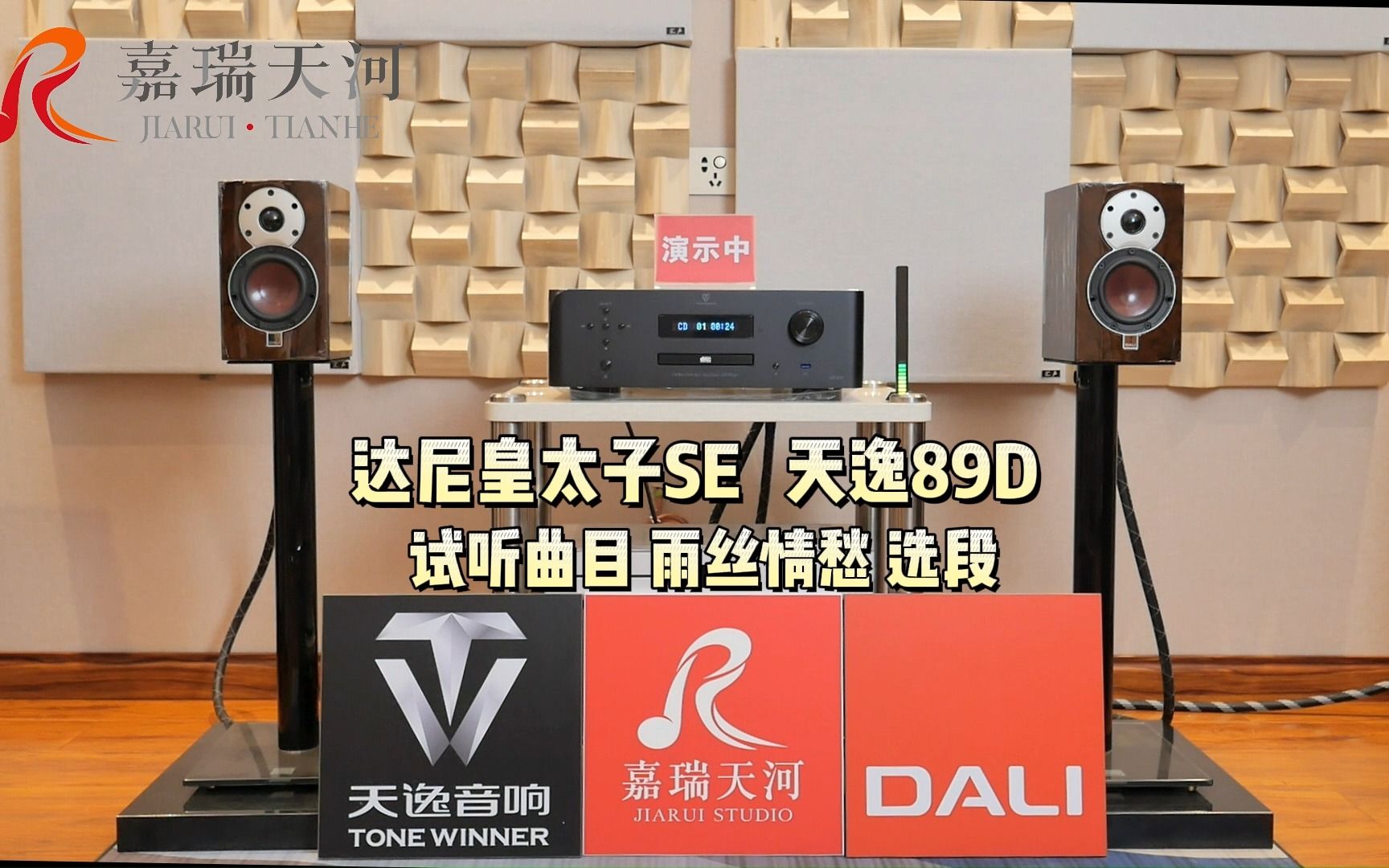 丹麦达尼皇太子SE限量版音箱搭配天逸89D超甲类功放机cd一体机,...