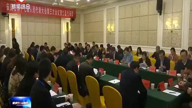 大会各代表团审议政府工作报告