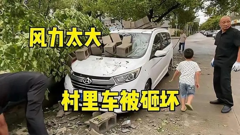 上海台风太厉害了,村里的车都被砸坏3辆