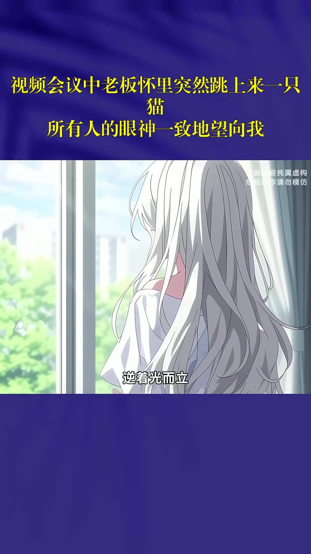 视频会议中老板怀里突然跳上来一只猫,所有人的眼神一致地望向我