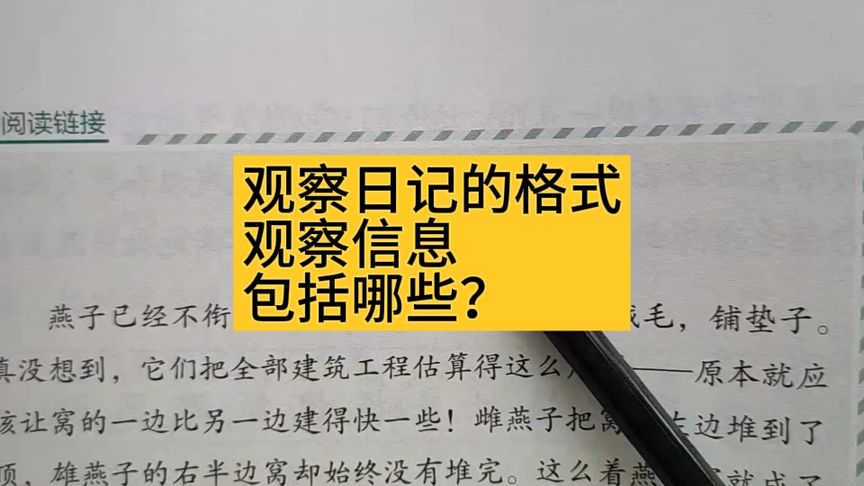 观察日记的格式,观察信息包括哪些? 观察日记的格式