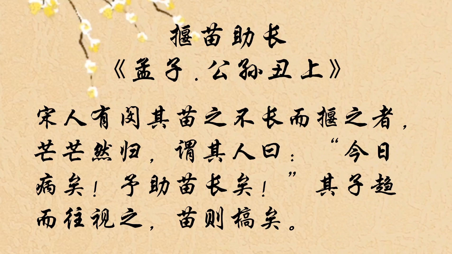 小古文《揠苗助长》注释+翻译+配乐+朗诵
