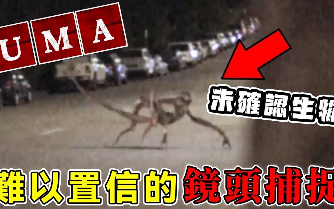 如果不是被镜头拍到,你绝对不会相信!世界上9大未确认生物!