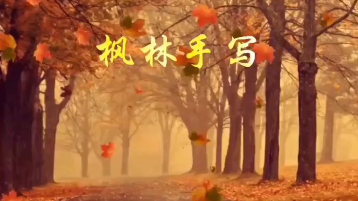 应届生的档案,重要性和作用,你知道多少?