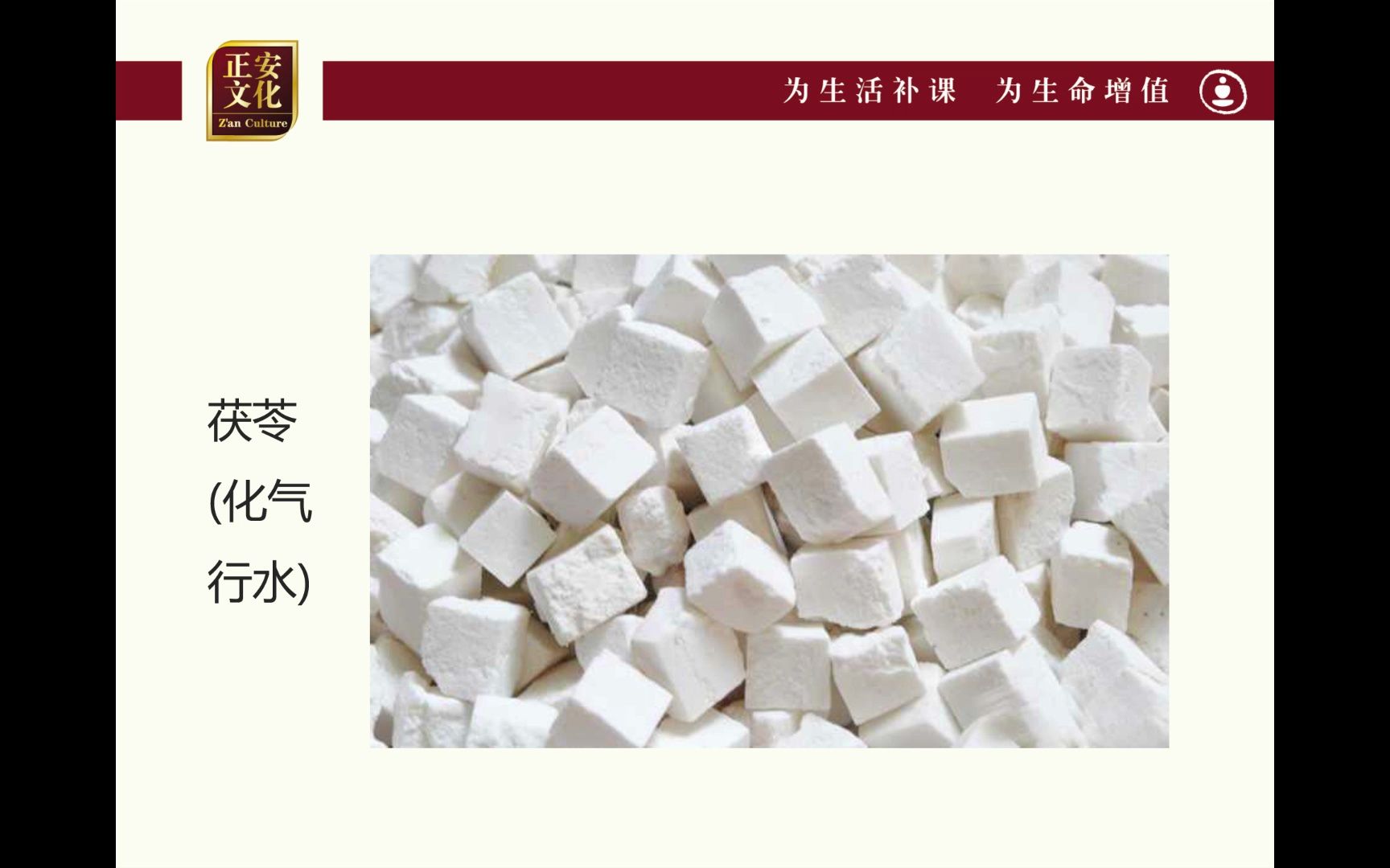 倪海厦老师弟子施合一经方药证学 第八章 祛湿药 01 茯苓