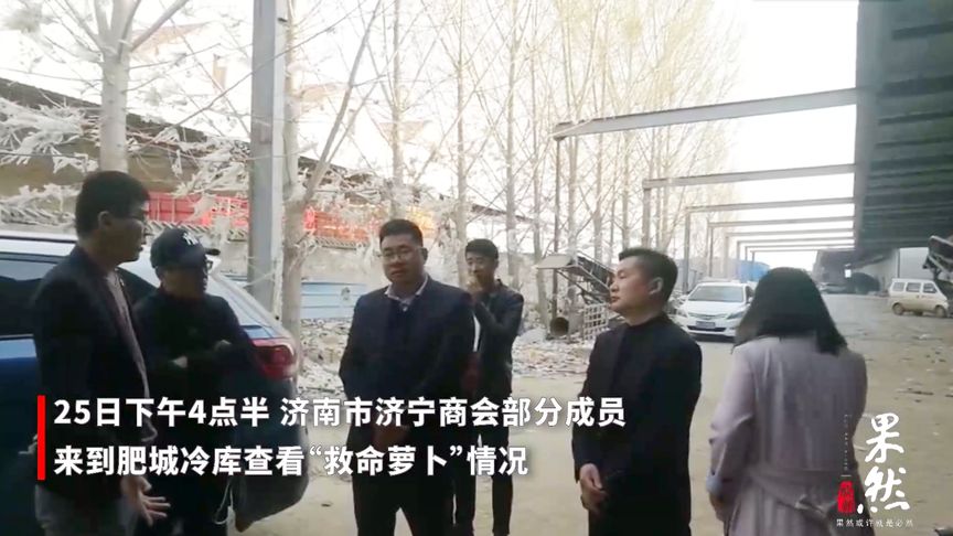 好人有好报!济南市济宁商会认购4万斤“救命萝卜”