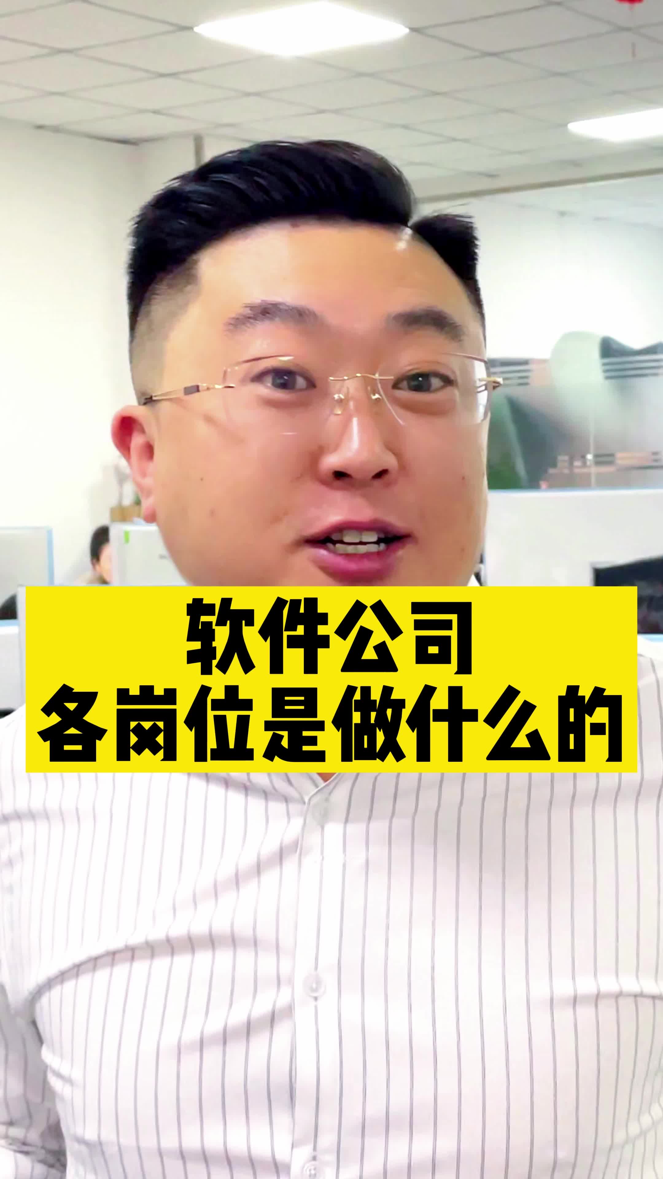 软件开发公司各个岗位都是做什么的